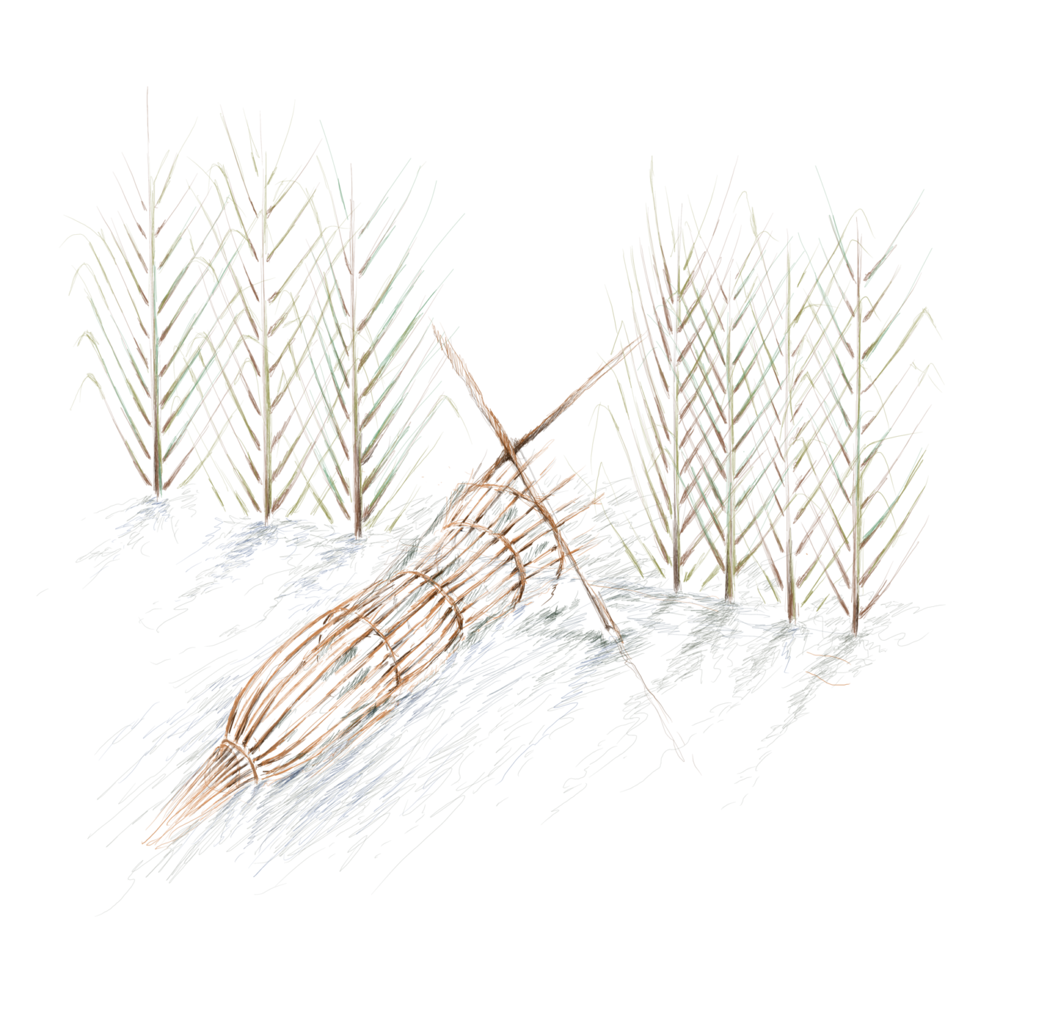 Aatiam – Territorio de Vida
